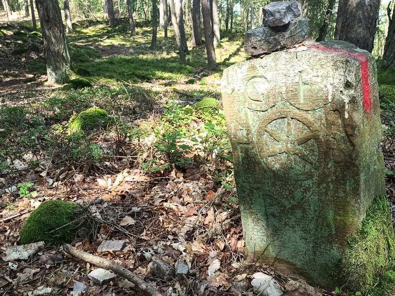 Michelbacher Giftiger Berg: Wanderungen und Rundwege | komoot