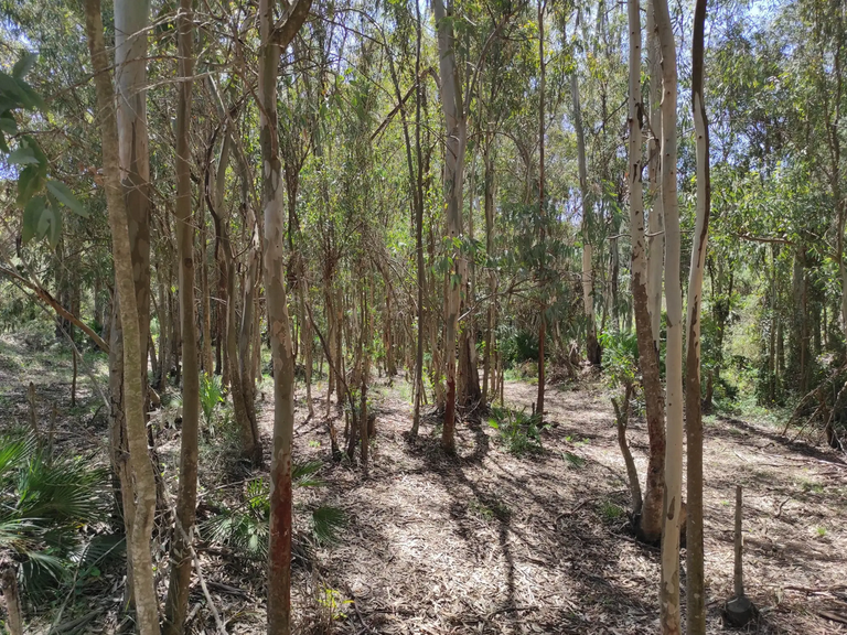 Cerro de las Perdices, Cerro Piña, Cerro de la Escalera, Cerro Horza ...