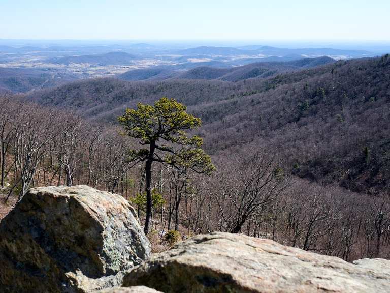 Compton Gap Trailhead: Wanderungen und Rundwege | komoot