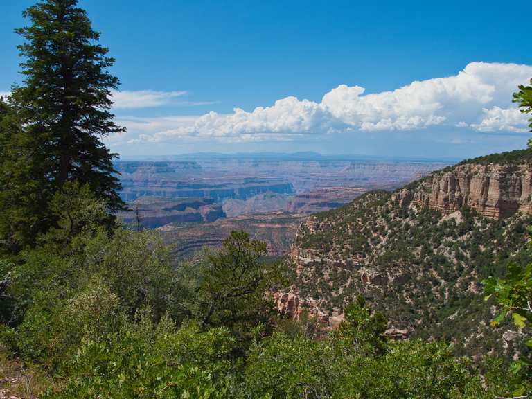 Rainbow Rim Trail loop — Grand Canyon National Forest | mountain bike ...