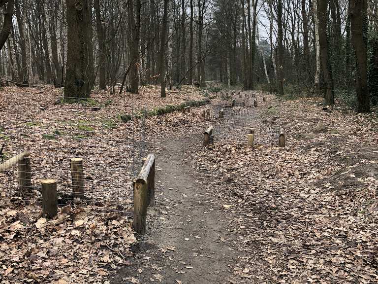 Beerzelberg wandelroutes en hikes | Komoot