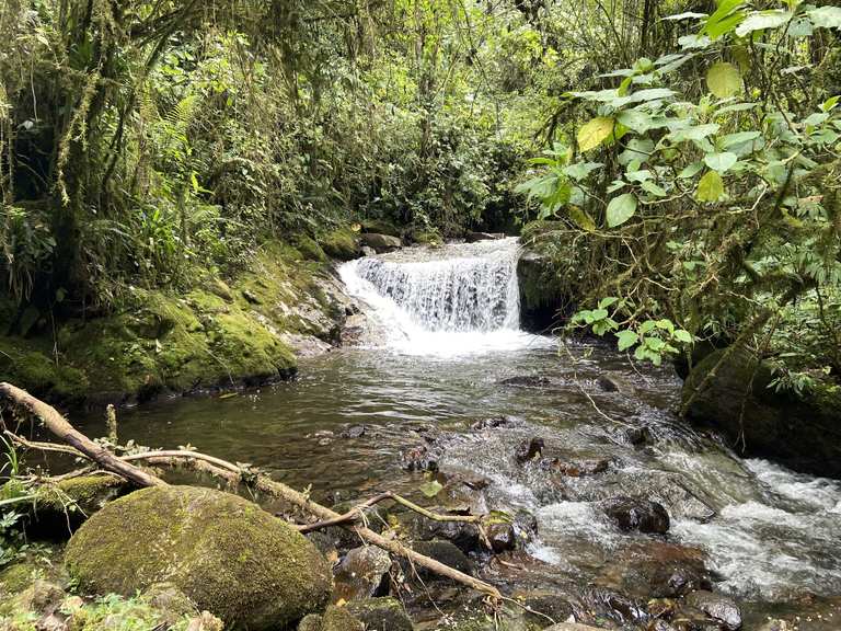 Cascada del Bosque de la Niebla desde el valle Cocora — ida y vuelta | hike | Komoot
