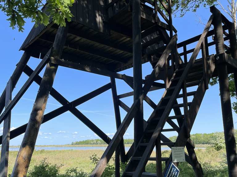 Barmarksled – Knisa Mosse Nature Reserve | hike | Komoot