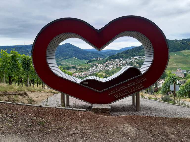 Waldumer Herz 🍷🍇💜: Mountainbike-Touren und -Trails | komoot