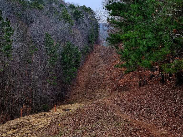 Cochran Shoals Trail loop — Cochran Shoals Unit at Chattahoochee River ...