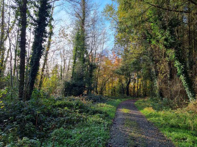 Lough Oughter : percorsi escursionistici e trekking | Komoot