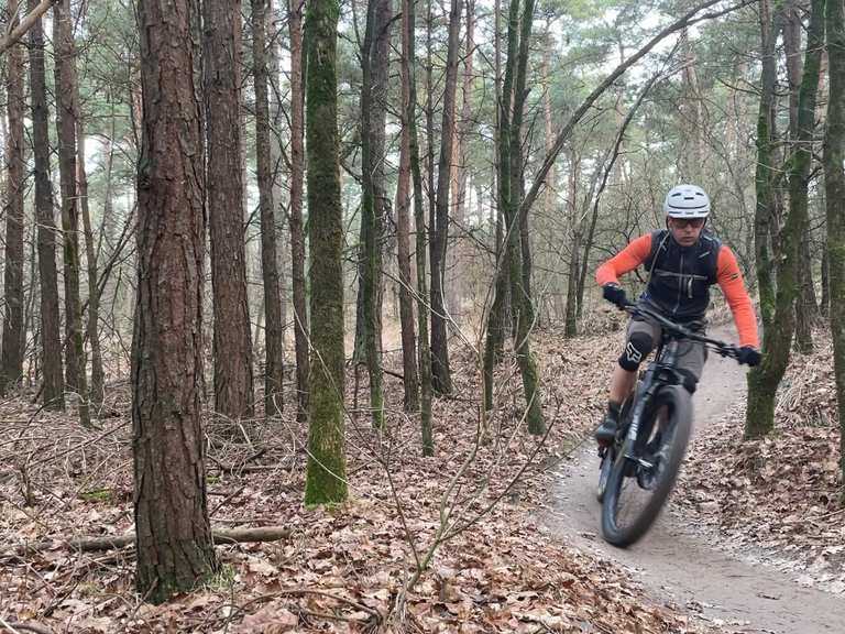 Track Rucphense Heide: MTB-routes en trails | Komoot
