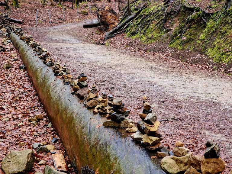 Sendero Kuhstallstraße hacia Neuer Wildenstein: Rutas de senderismo y ...