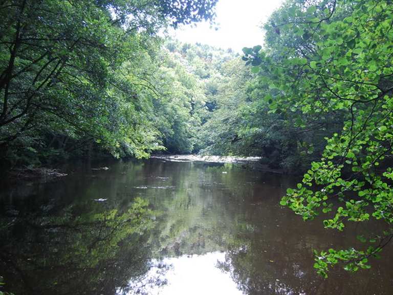 Burgess Bridge, Nidd Gorge Routes for Walking and Hiking | Komoot