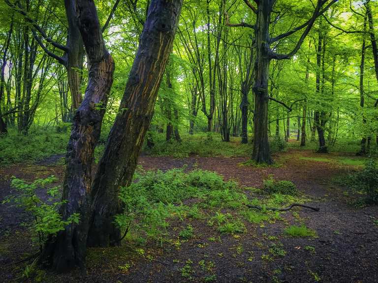 Ivinghoe – Steps Hill Runde von Ivinghoe | Wanderung | Komoot