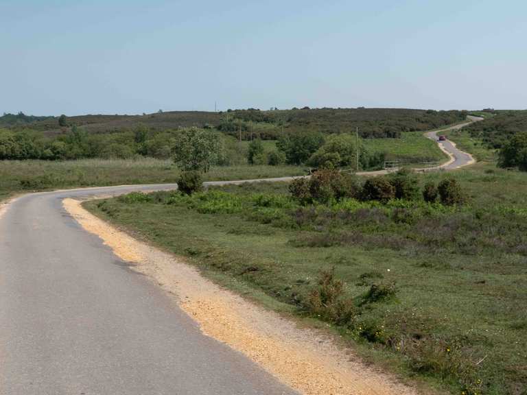 Brockenhurst & Sway loop from Burley — New Forest National Park | ride ...