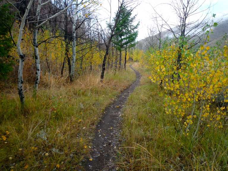 Proctor Mountain Trail – Sawtooth National Forest Vous voulez explorer ...
