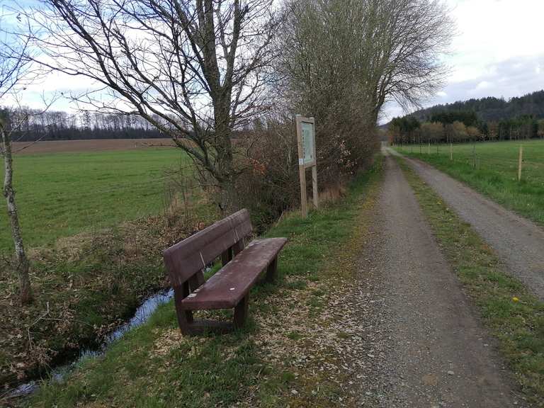 Biotop Ölmühle Kisselbach: Wanderungen und Rundwege | komoot