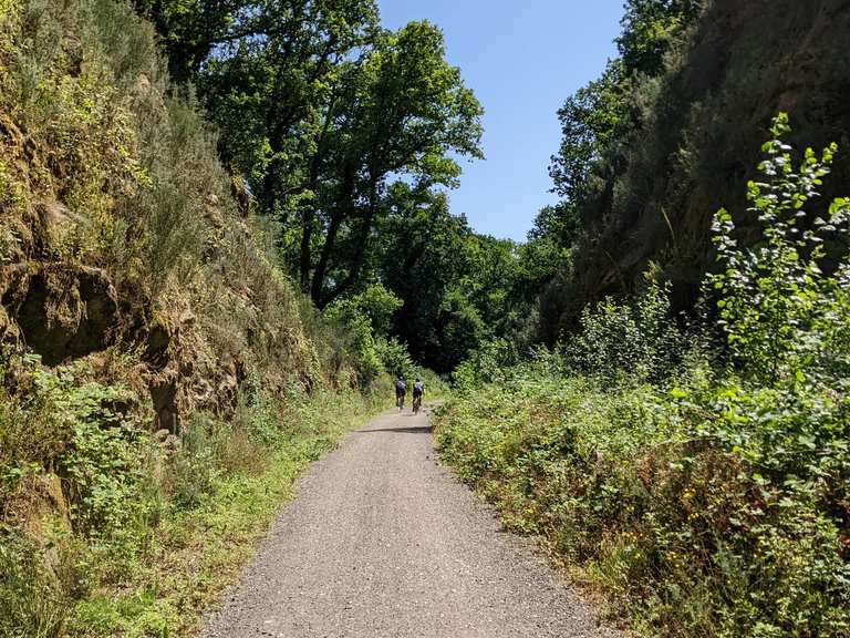 The Wray Valley Trail & Kennick Reservoir loop from Bovey Tracey ...