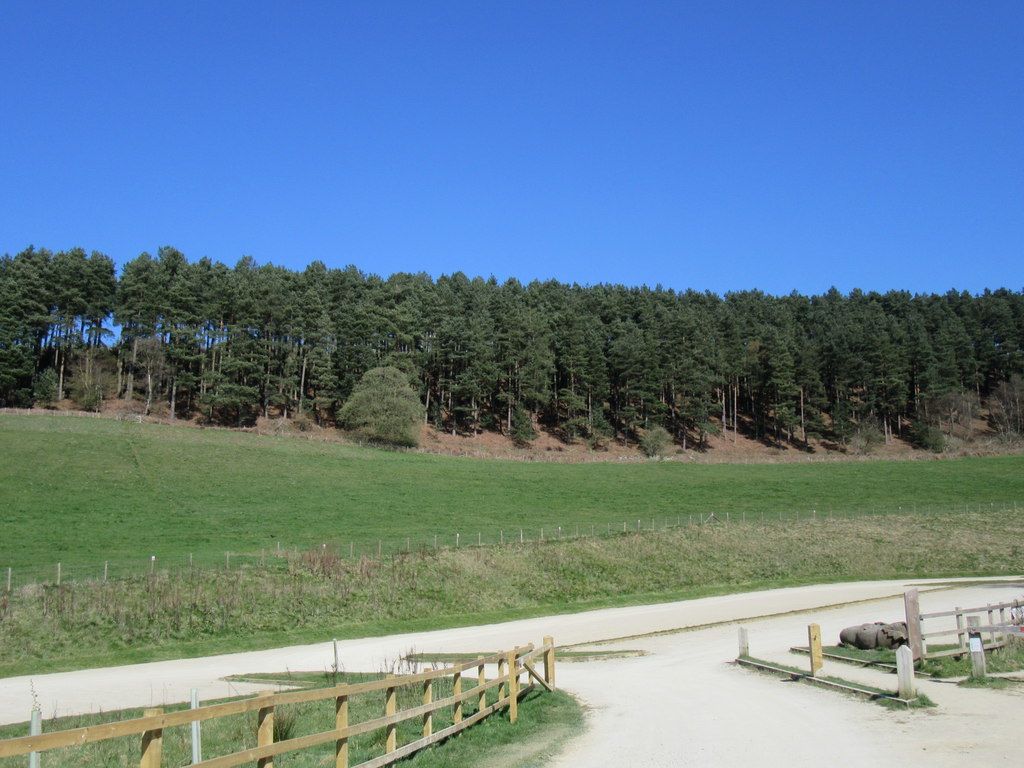 Walking and running trails at Dalby Forest | Hiking Collection by komoot