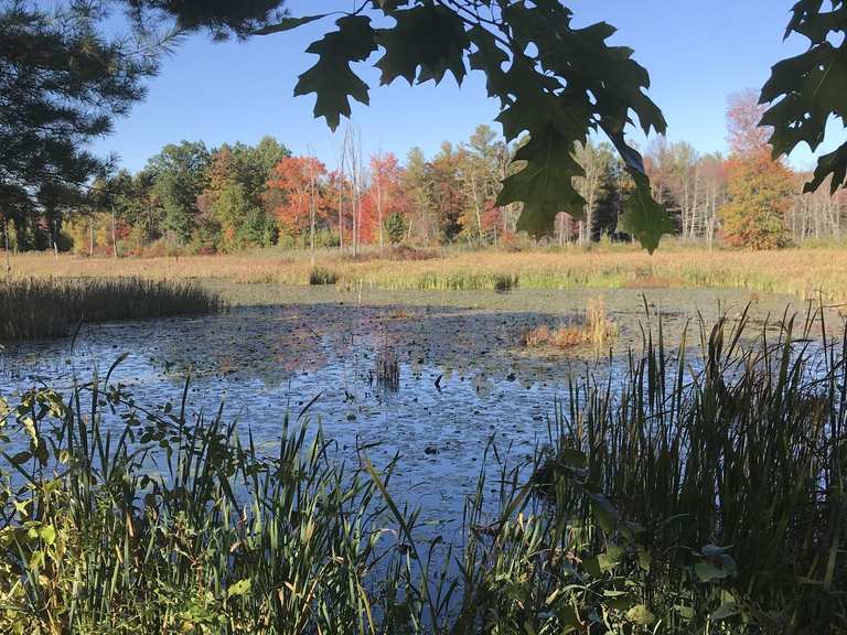 Norwottuck Rail Trail and Robert Frost Trail to Lawrence Swamp loop ...