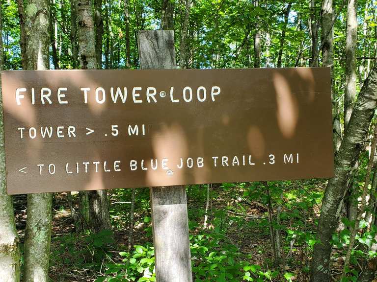Fire Tower Loop Trail e cima di Blue Job — Contea di Strafford, New ...