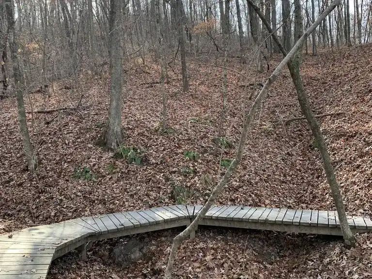 Hogsback Trail Mountain Bike Trails & Tracks | Komoot