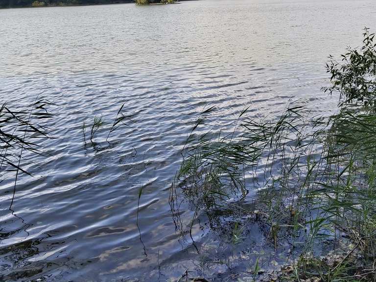 Boissower See: Wanderungen und Rundwege | komoot