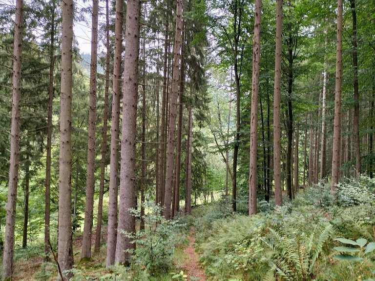 Unterferdinandsdorf - Relikte aus alter Zeit!: Mountainbike-Touren und ...