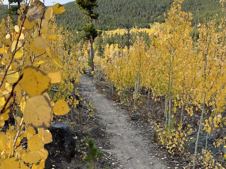 Observatory Trail loop — Roosevelt National Forest Collection ...