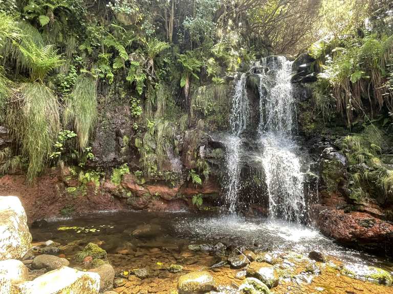 Levada do Pico da Urze e Levada do Alecrim — percurso circular na Ilha ...