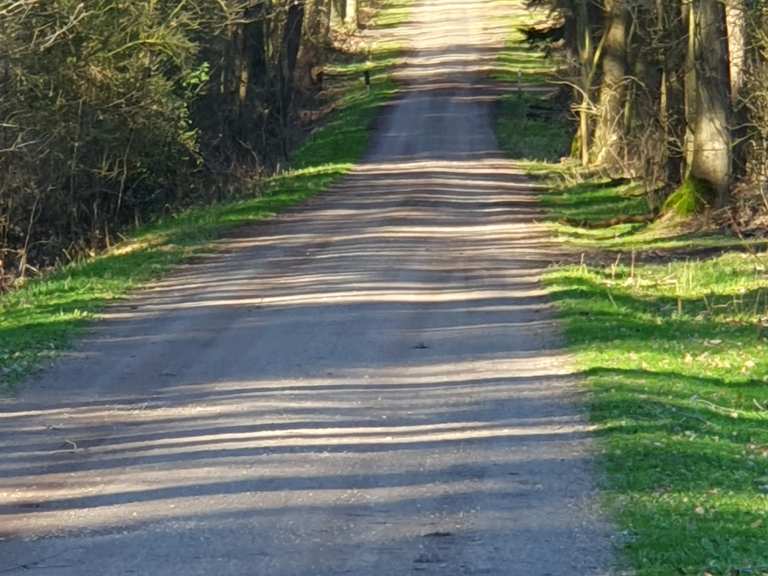 Trails Markelo: MTB-routes en trails | Komoot