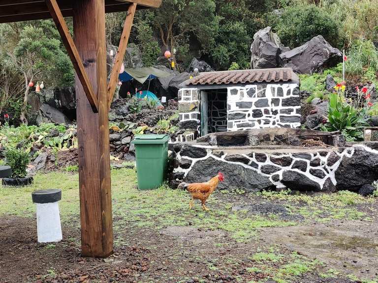 Rocha da Relva - trilha na Ilha de São Miguel (PRC 20 SMI) | trilha ...