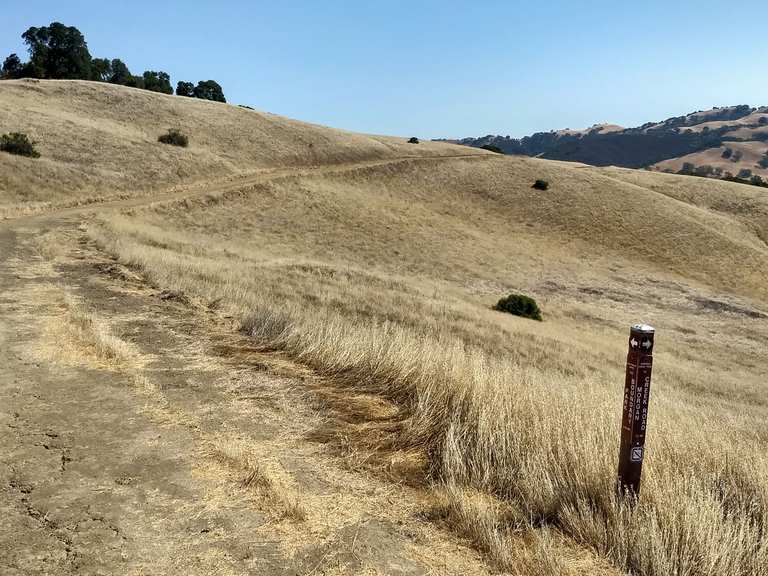 Knob Point & Old Finley Road double loop — Morgan Territory Regional ...