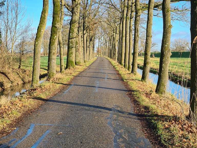 Trekpontje – Loopgraven Rondje vanuit Everdingen | wandeling | Komoot