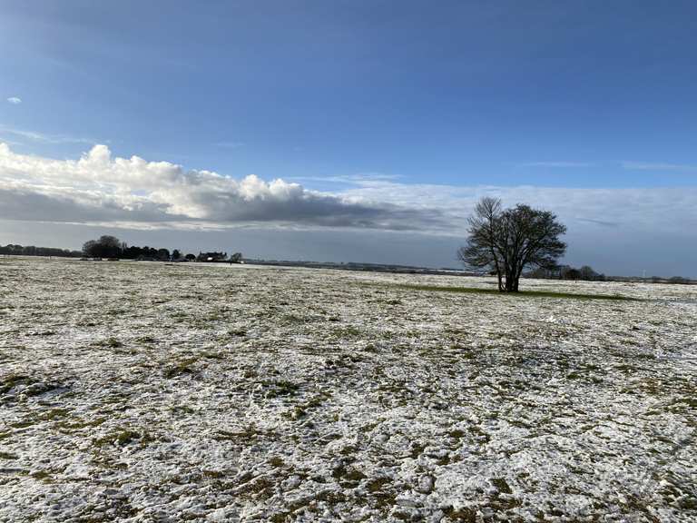 Box, Rodborough Common and Minchinhampton loop — The Cotswolds AONB ...