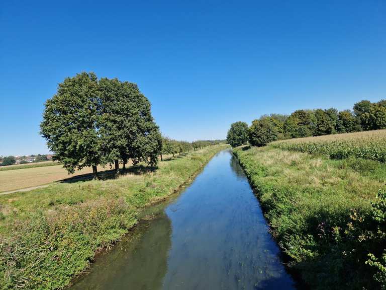 Mündung des Bühner Bachs in die Hase : Radtouren und Radwege | komoot