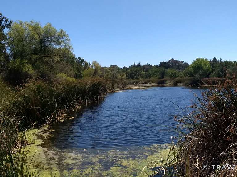 Heather Farm Park Lake Road Cycle Routes and Map | Komoot