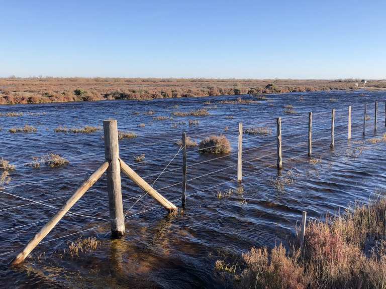 La Réserve naturelle régionale de la Tour du Valat en boucle | Tour à ...