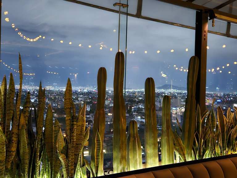 Jardín Pushkin y avenida Álvaro Obregón | ハイキング | komoot