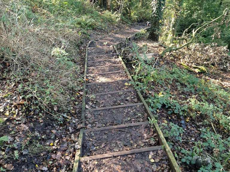 Timbersbrook Picnic Area: Wanderungen und Rundwege | komoot