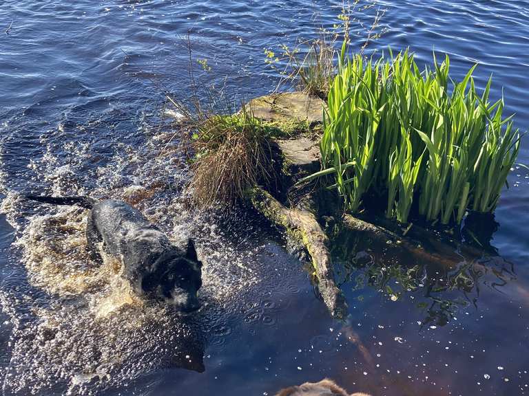 Blakemere Moss Routes for Walking and Hiking | Komoot