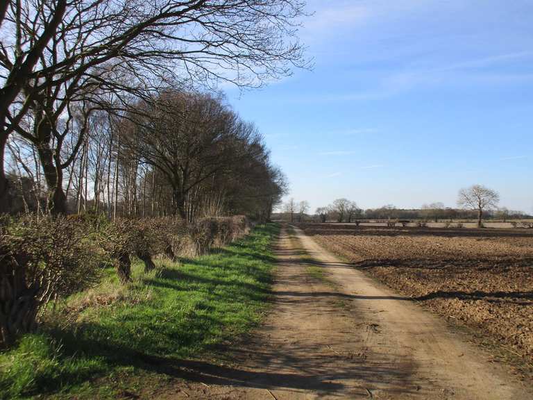 Abschnitt 5: Wheldrake nach York - Wilberforce Way | Wanderung | Komoot