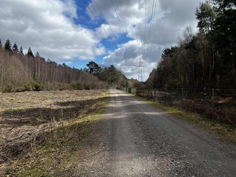 Woolmer Forest perimeter loop from Woolmer Pond — South Downs National ...