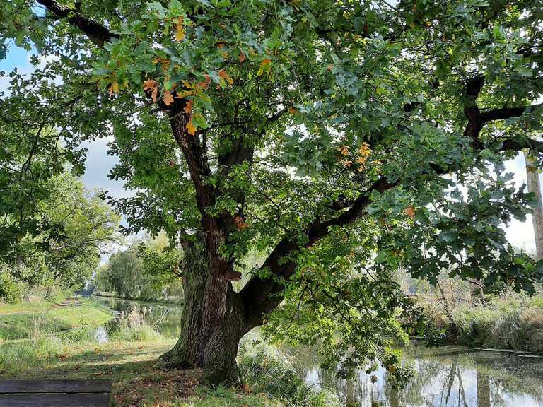 Deutsches Eck : Radtouren und Radwege | komoot