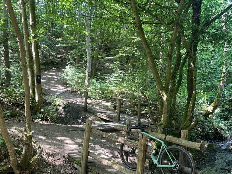 Trail durch den Wald Mountain Bike Trails & Tracks | Komoot