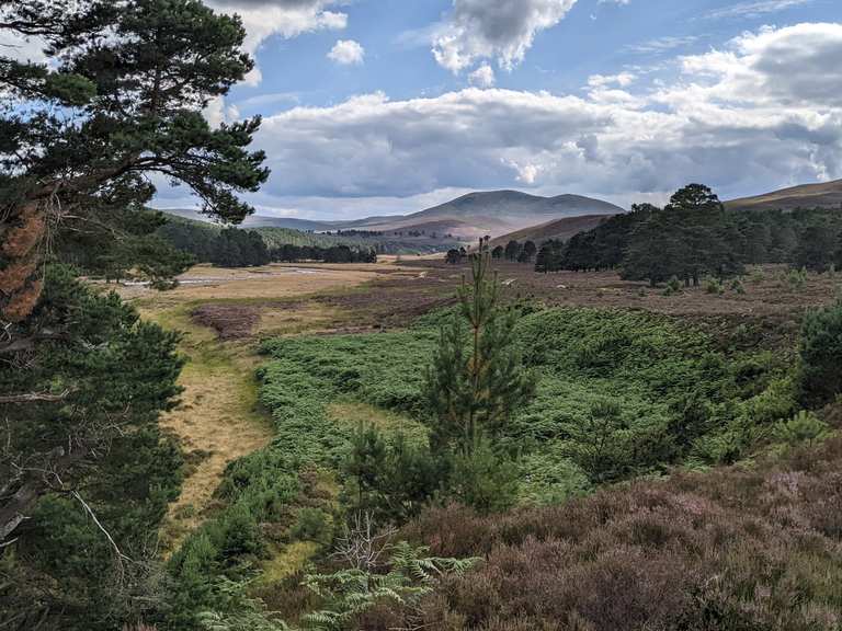 Burma Road loop — Cairngorms National Park | mountain bike ride | Komoot