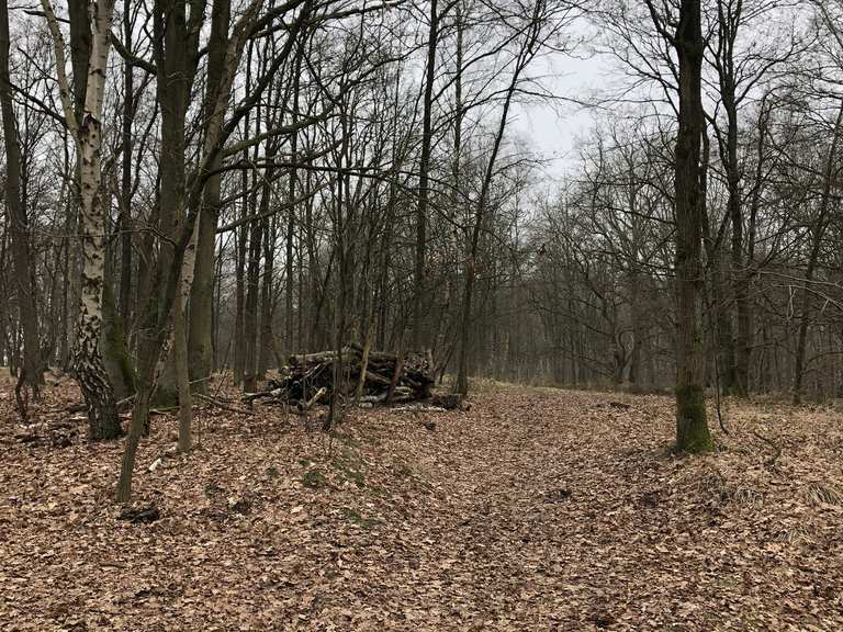 Beerzelberg wandelroutes en hikes | Komoot