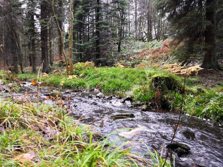 Keltyhill Glen Trail Stream, Blairadam Forest Routes for Walking and ...