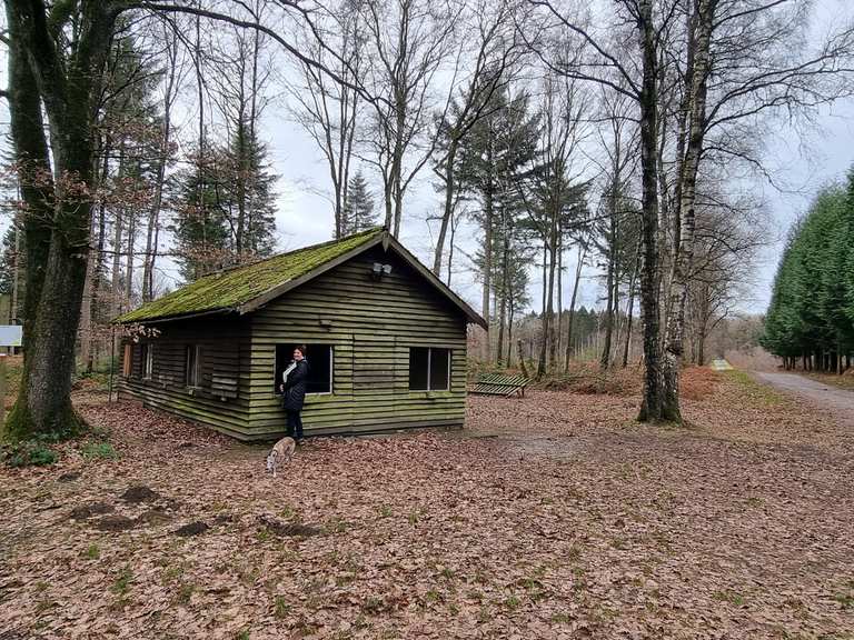 Jagershut, Florennes: Wanderungen und Rundwege | komoot