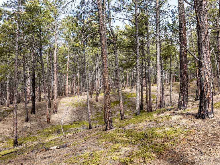 The Pineries Open Space: Touren und Karten | komoot