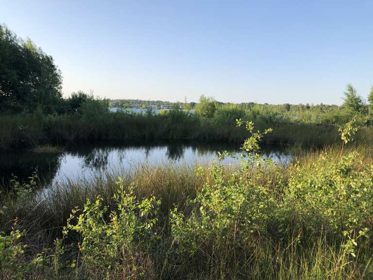 Blick auf den 🧱 Roter Steinweg See : Radtouren und Radwege | komoot