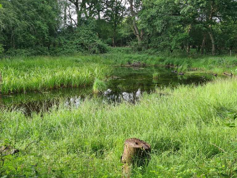 Great Eastern Pingo Trail & Thompson Water loop | run | Komoot