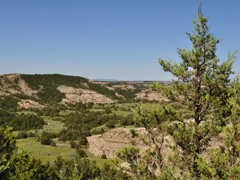 Ekblom Trail, Big Plateau Trail and Lone Tree Spring Loop Trail ...