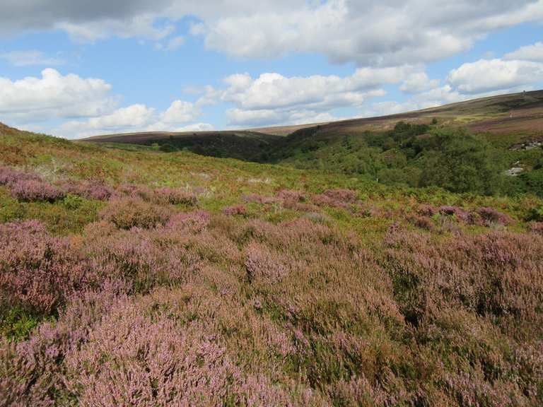 Tripsdale and Urra Moor loop from Chop Gate — North York Moors National ...
